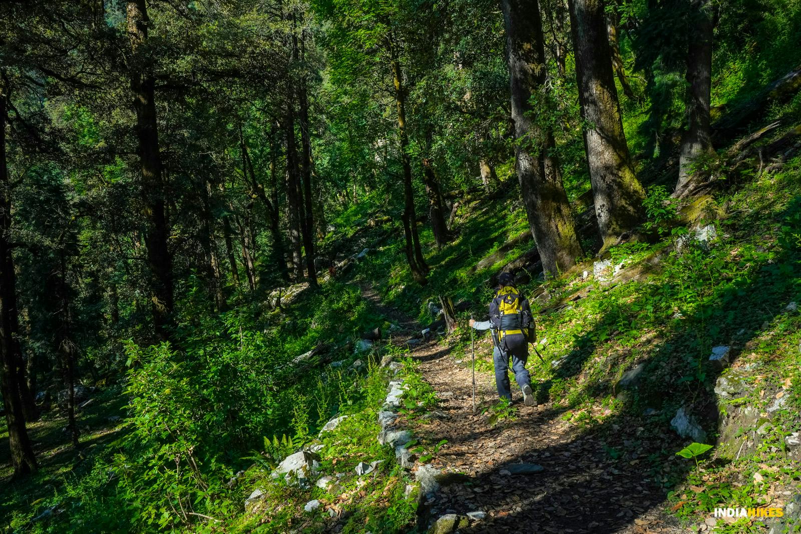 Phulara Ridge Trek 2023 - Trekking in Uttarakhand - Indiahikes