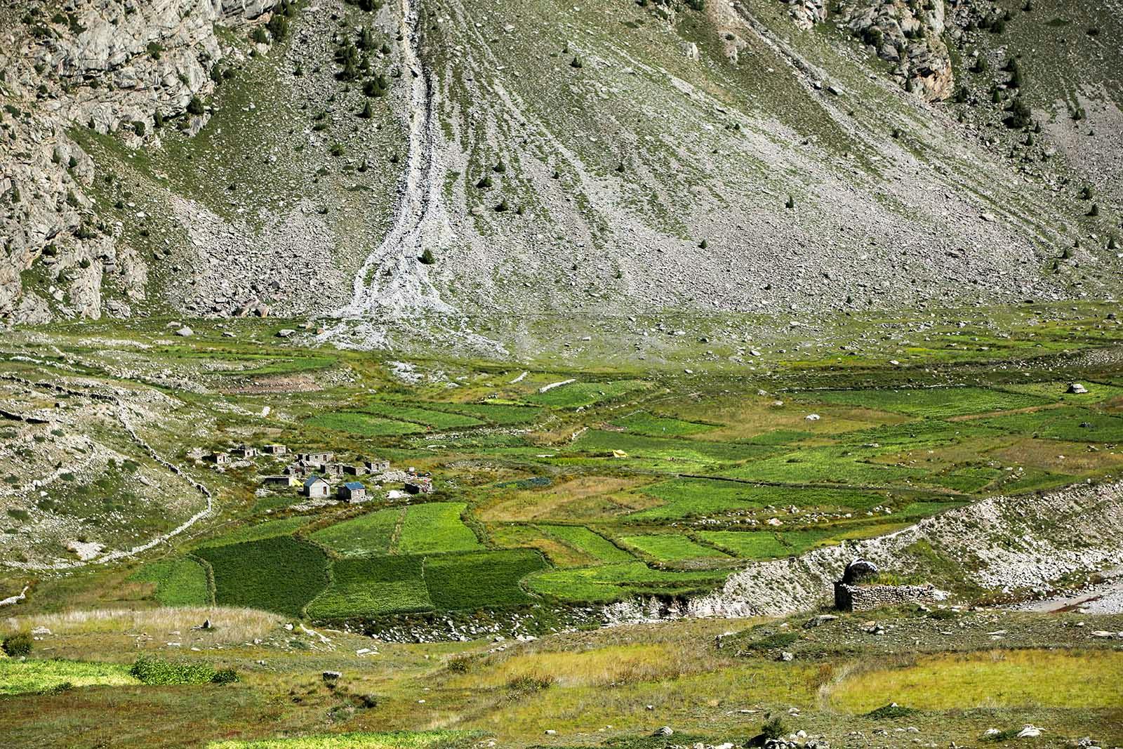 Miyar Valley 2024 - The Trek that takes you to the Heart of Lahaul ...