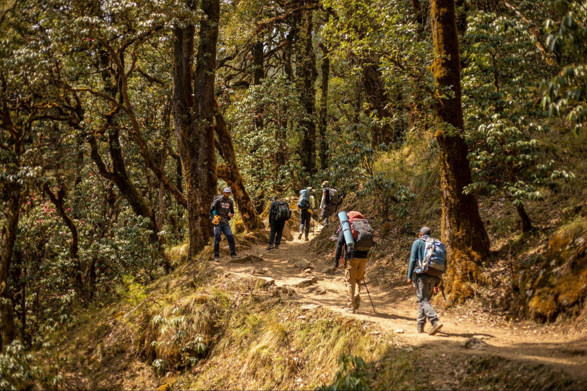 Brahmatal Trek 2023 - Treks In Uttarakhand - Snow Trek - Indiahikes