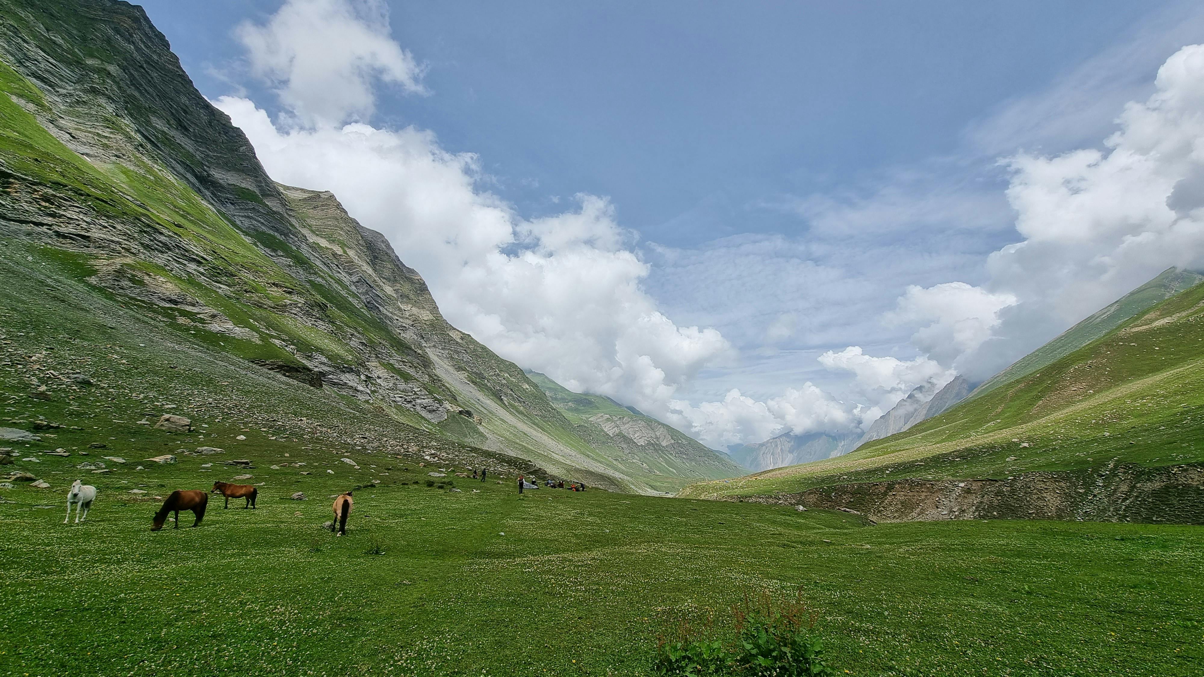 Warwan Valley Trek 2022 - Treks In Jammu and Kashmir - Indiahikes