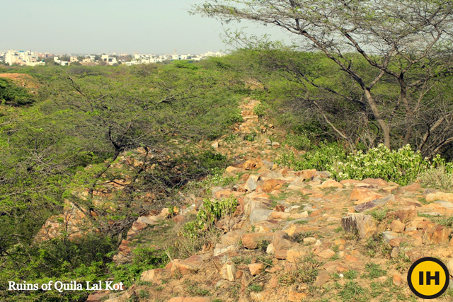 Qila Lal Kot Trek