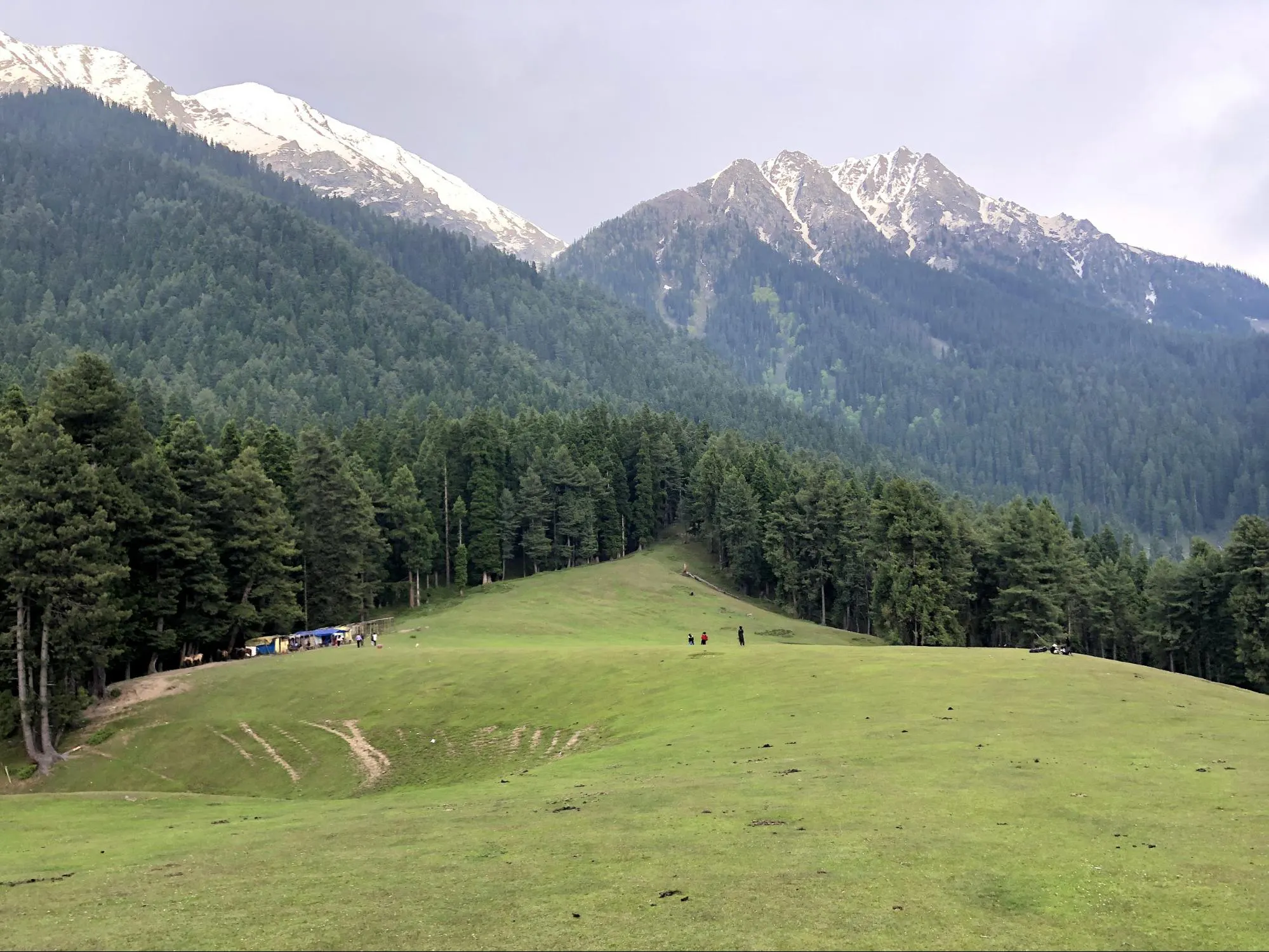 Tulian Lake Trek 2023 - Treks In Jammu and Kashmir - Indiahikes