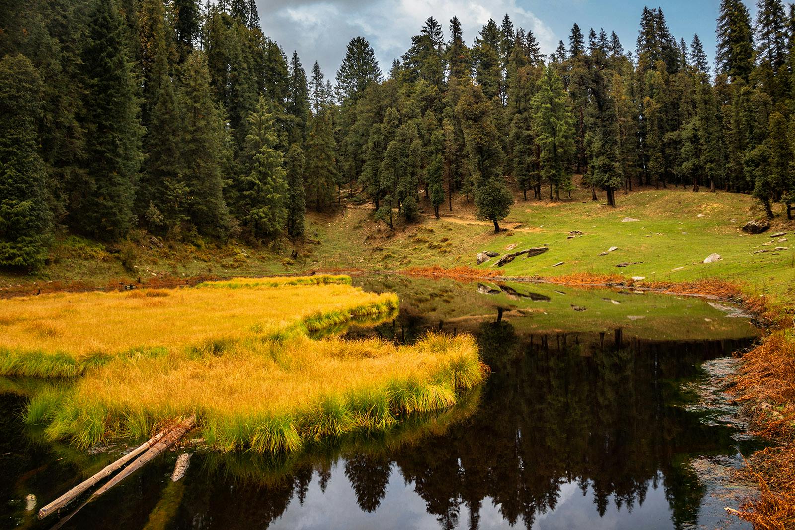 Phulara Ridge Trek 2023 - Trekking in Uttarakhand - Indiahikes