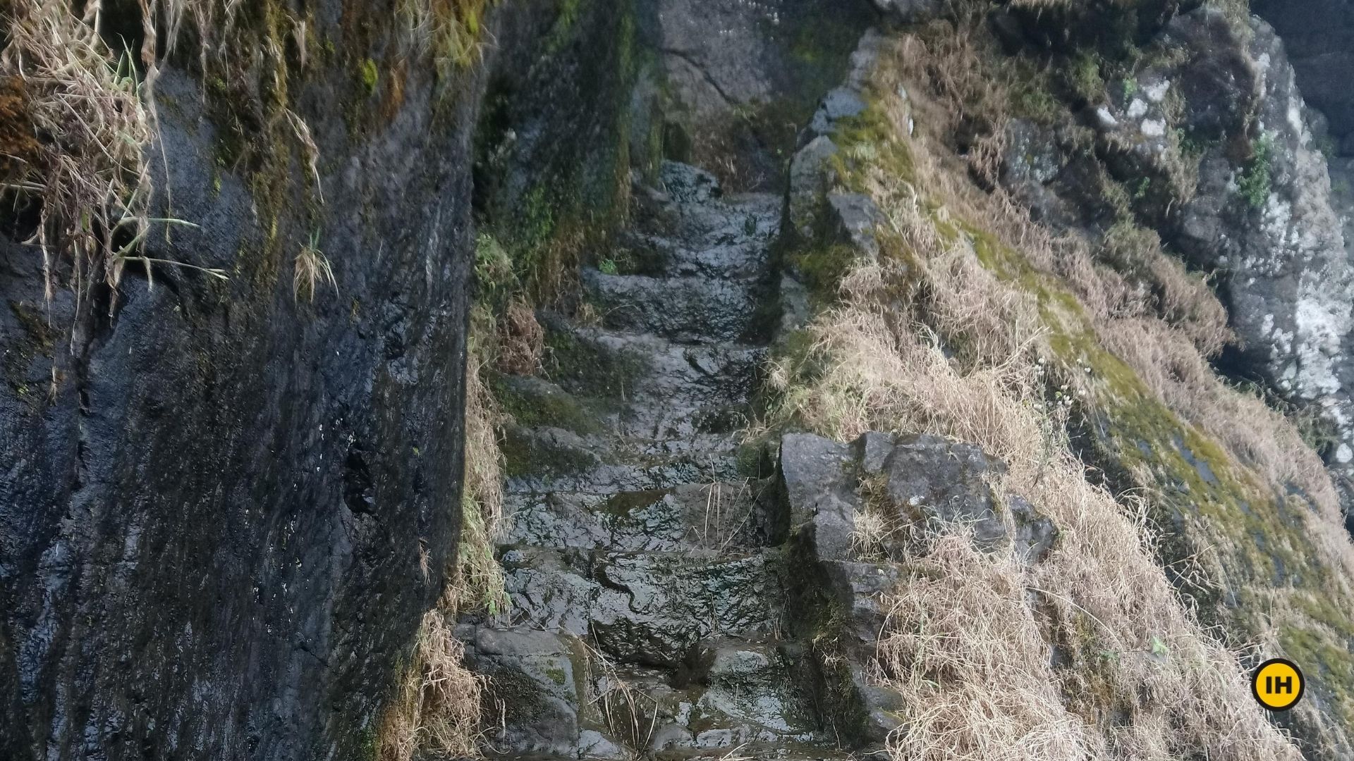 Harihar Fort Trek - The Trek With The Most Iconic Climb In The Sahyadris