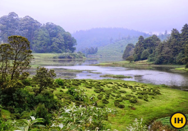 Nilgiri Hills Trek