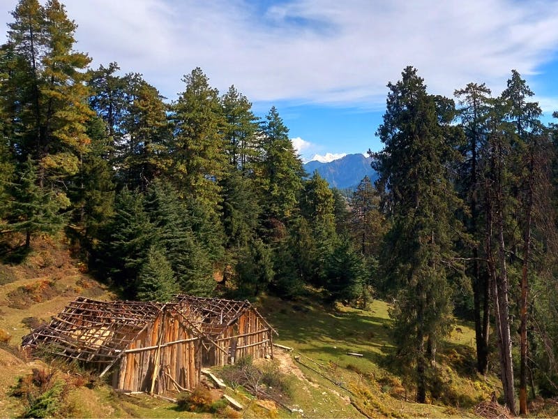 Deoban Weekend Trek 2024 - Indiahikes