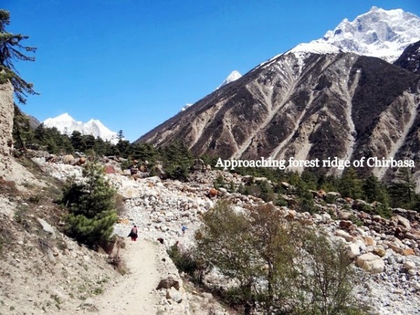 Tapovan Nandanvan Trek