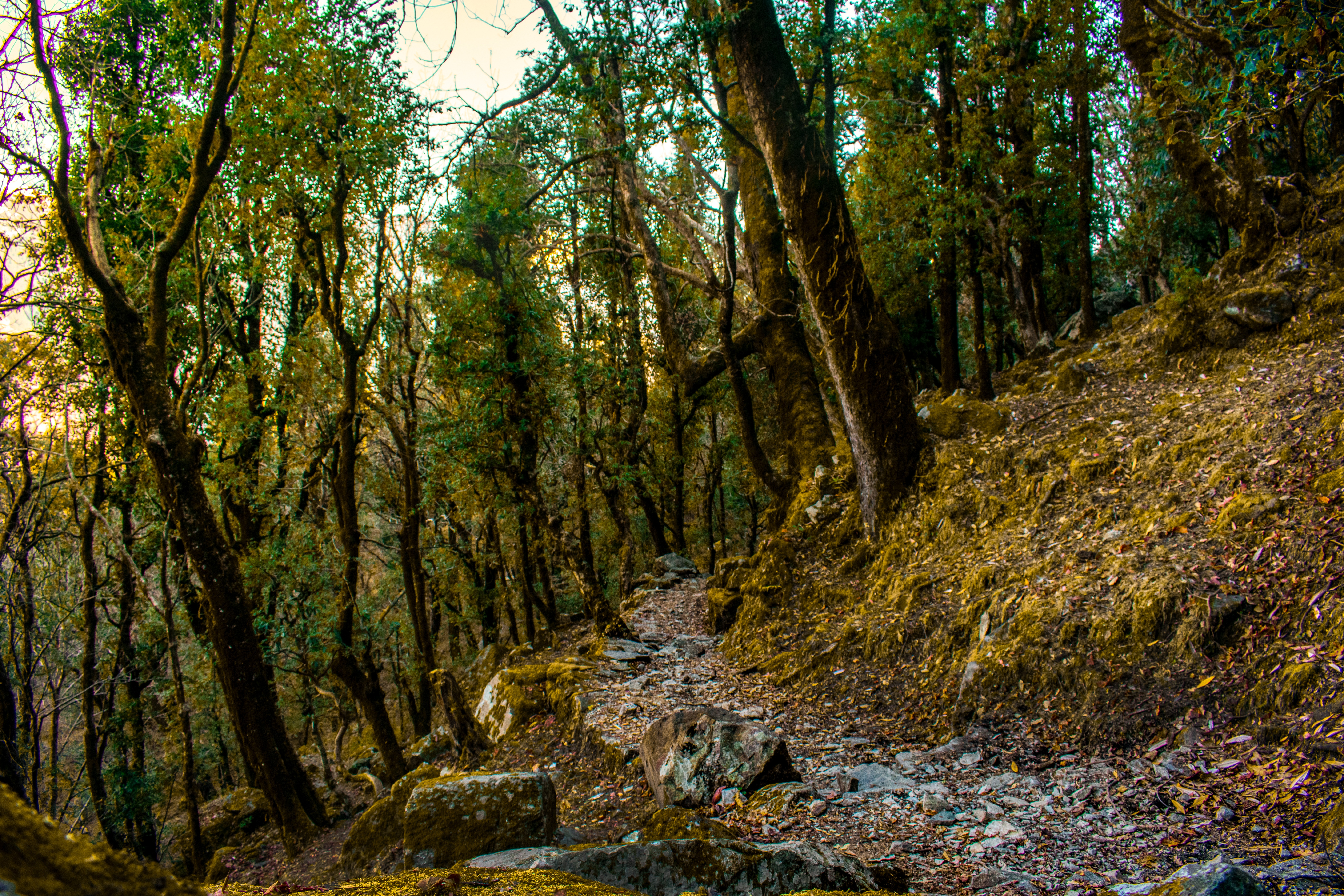 7 Stunning March Treks And Their Specialties