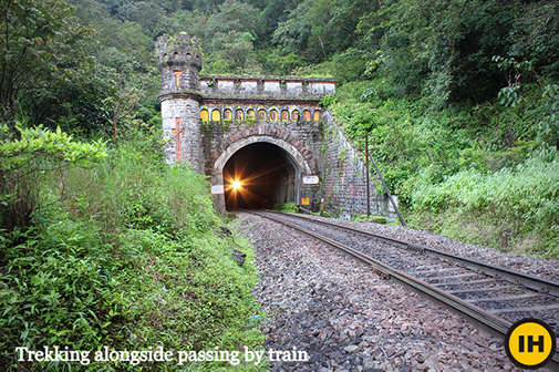 Dudhsagar waterfalls trek