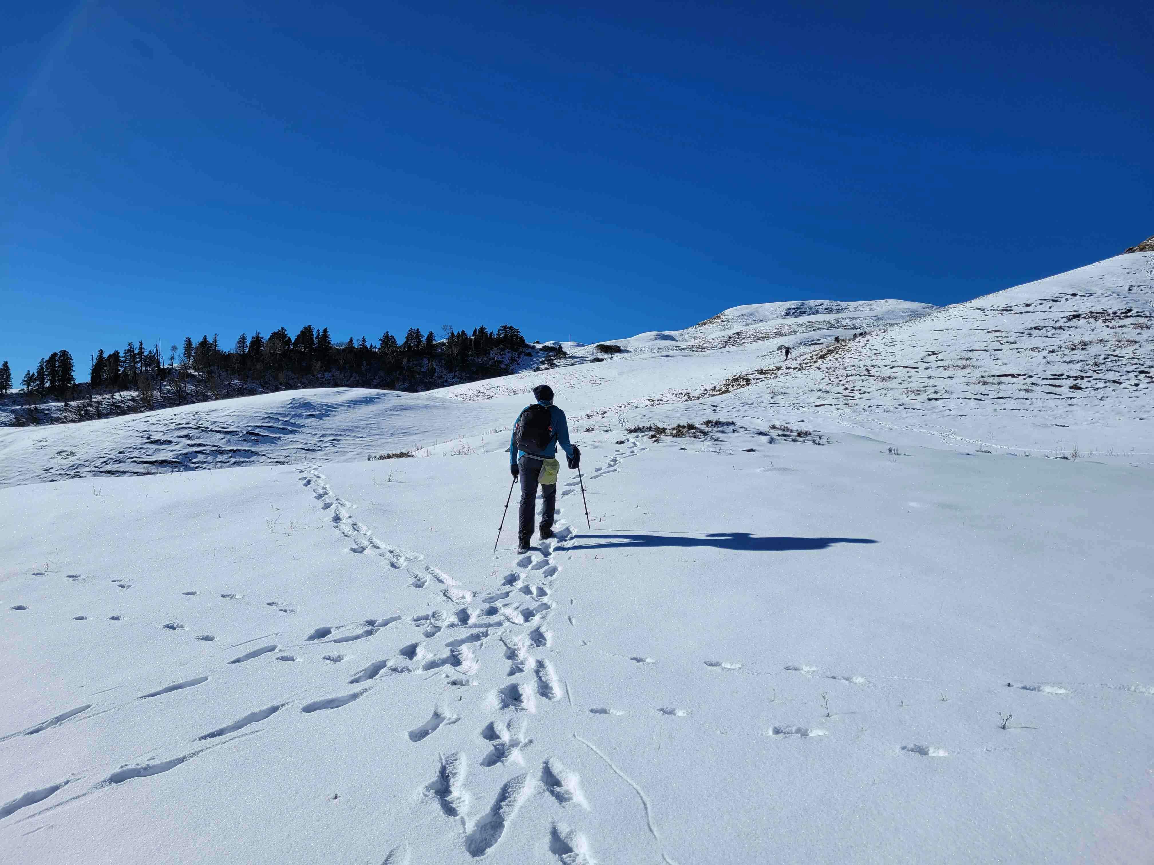 Dayara Bugyal Covered in Snow, Temperatures Drop to -10°C