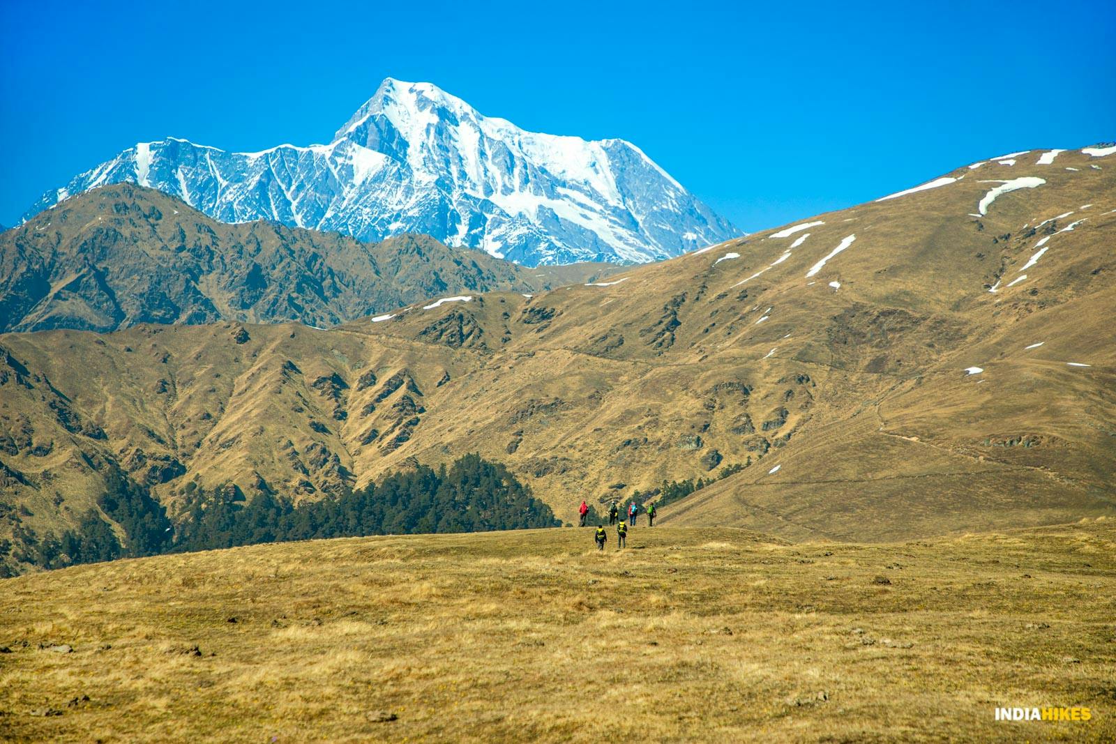 Ali Bedni Bugyal Trek 2023 - Roopkund Trek - Indiahikes