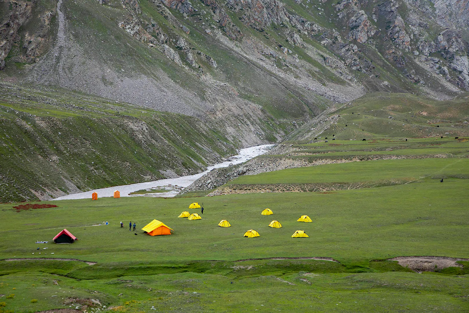 Miyar Valley 2023 - The Trek that takes you to the Heart of Lahaul ...