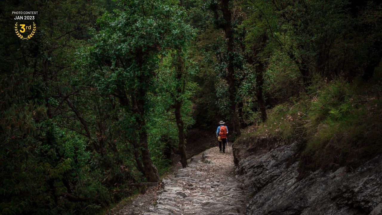 November 2022 Photo Contest Winner