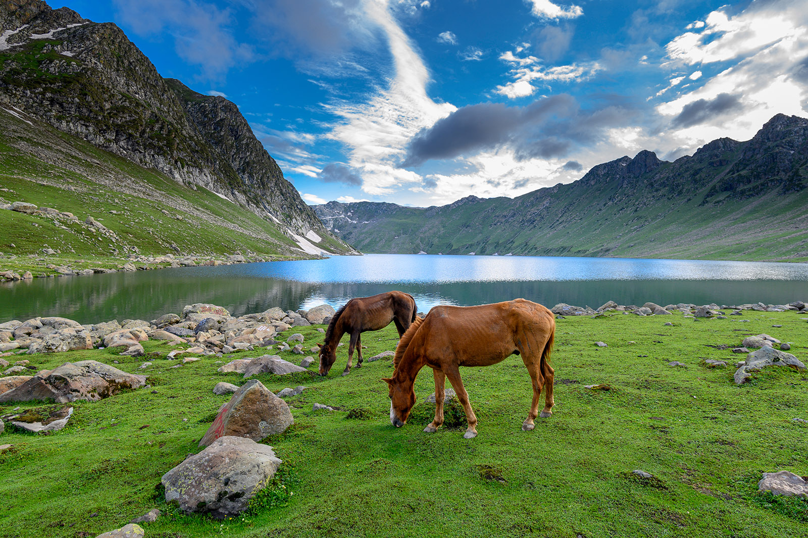 Tarsar Marsar Trek 2023 - Treks In Jammu and Kashmir - Indiahikes