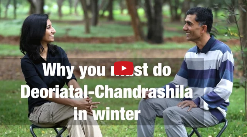 Why Deoriatal-Chandrashila is the best trek during Christmas