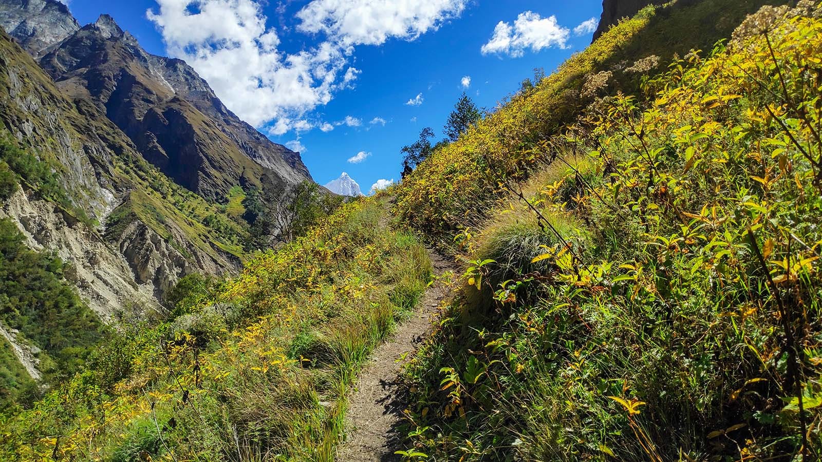 Kedartal Trek 2023 - A Rare Adventure Among Big Mountains - Treks In ...