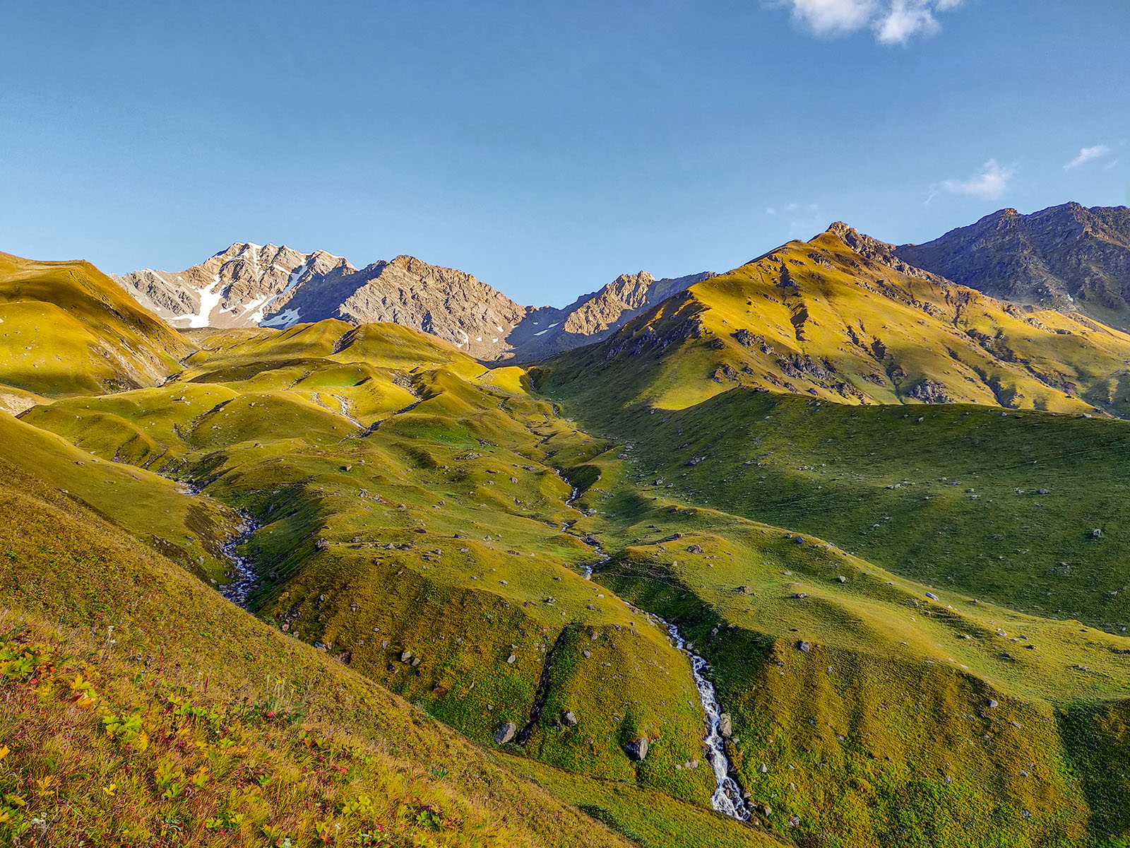 5 Reasons Why You Must Do The Gidara Bugyal Trek