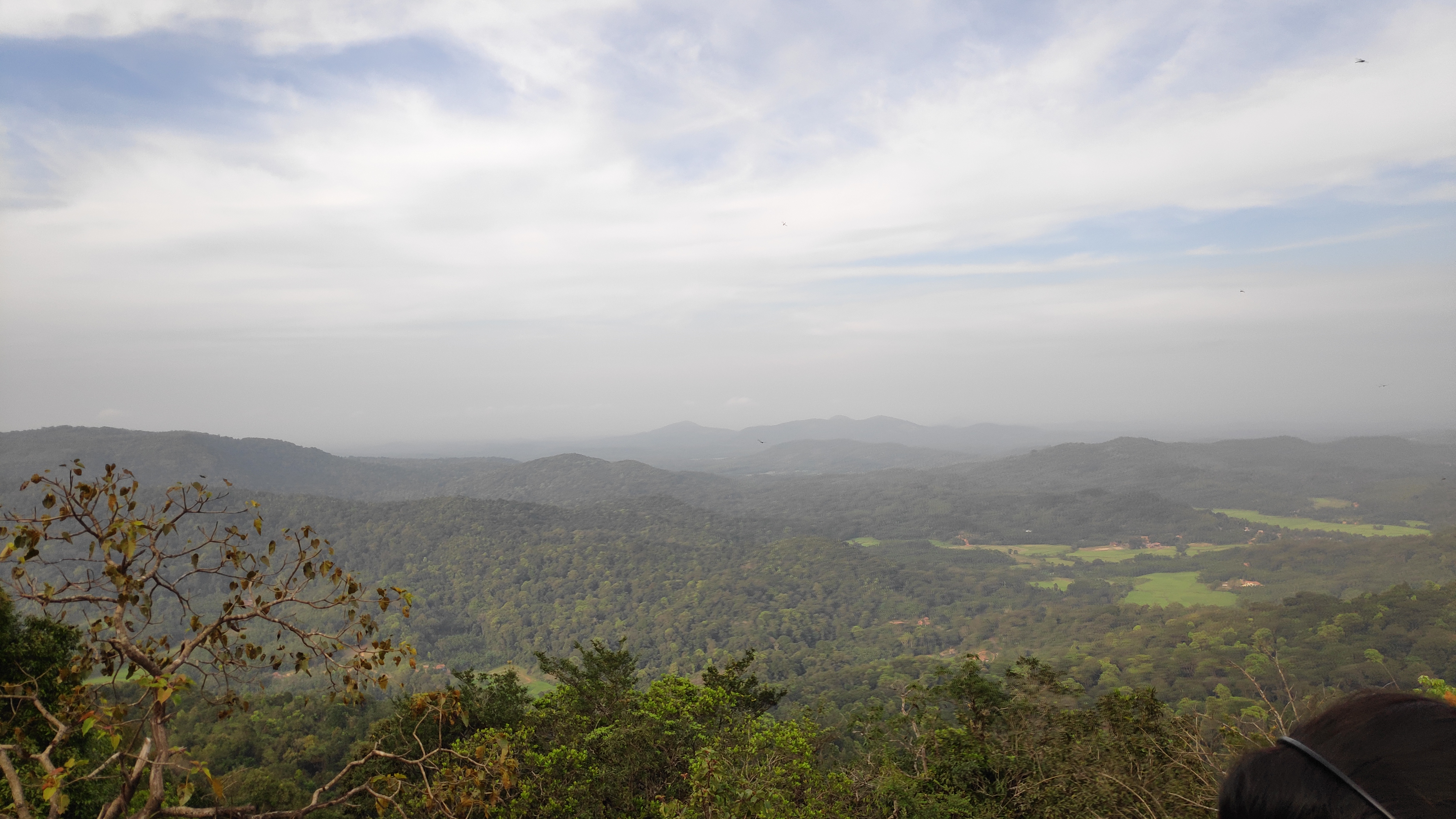 Narasimha Parvatha Trek - Trek to the highest peak in Agumbe
