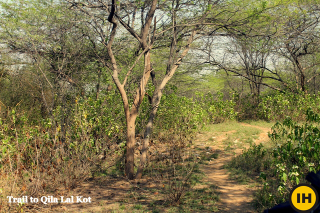 Qila Lal Kot Trek