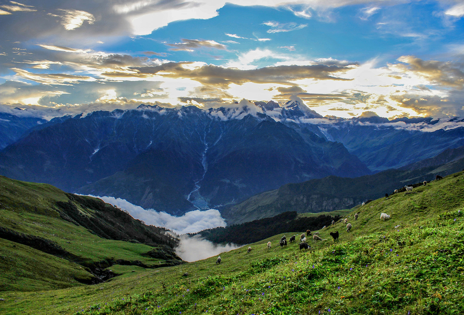 Bhrigu Lake Trek 2023 - Treks In Himachal Pradesh - Indiahikes