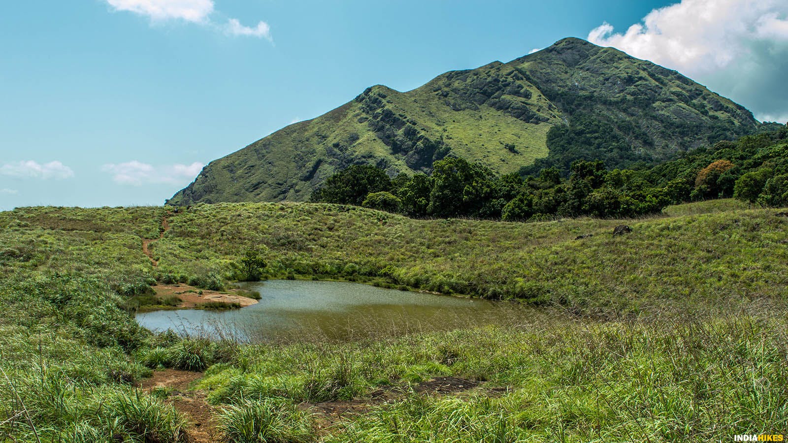 Chembra Peak Trek - Trek to the Heart-Shaped Lake in Kerala