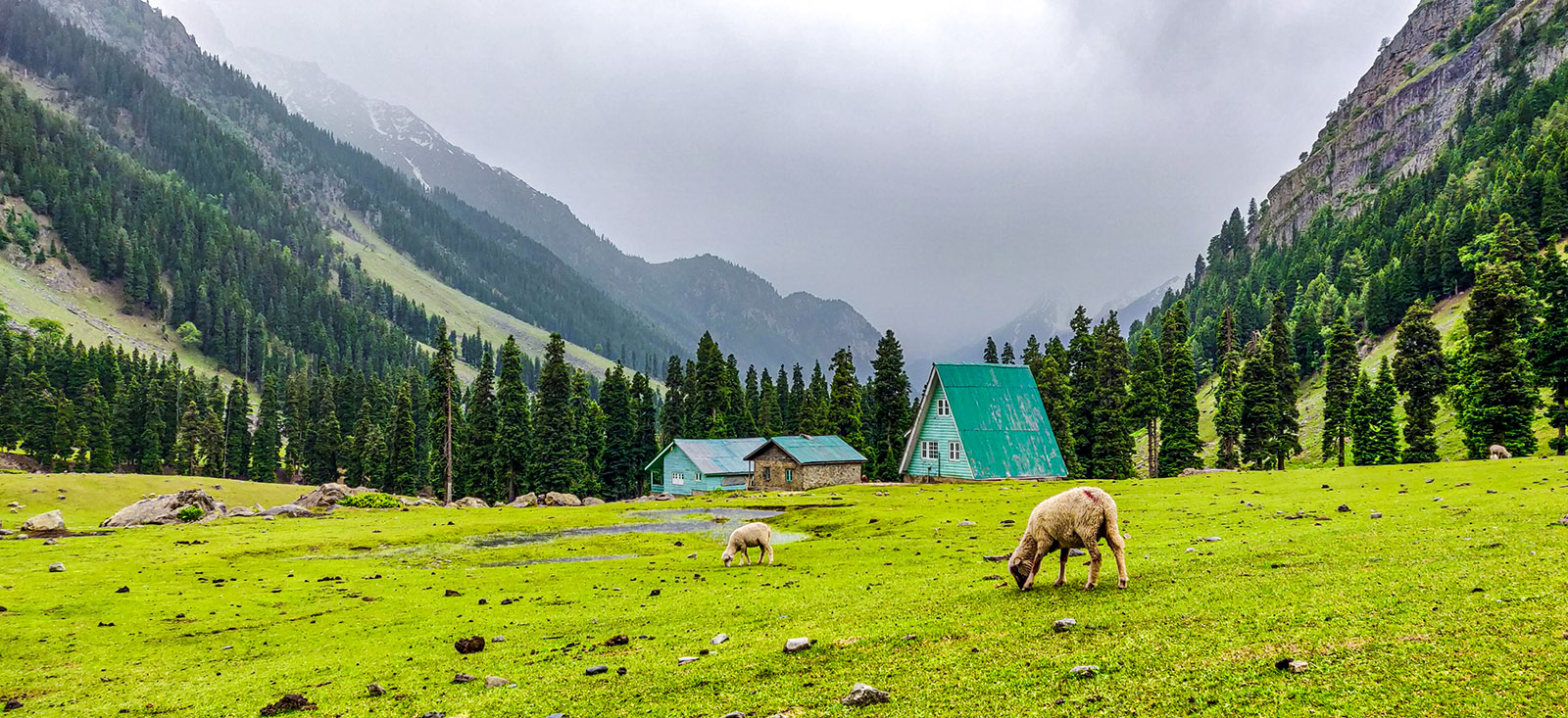 Tarsar Marsar Trek 2023 - Treks In Jammu and Kashmir - Indiahikes