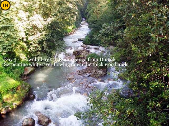 Kalpeshwar Rudranath Trek - A trek to the two of Panch Kedar temples
