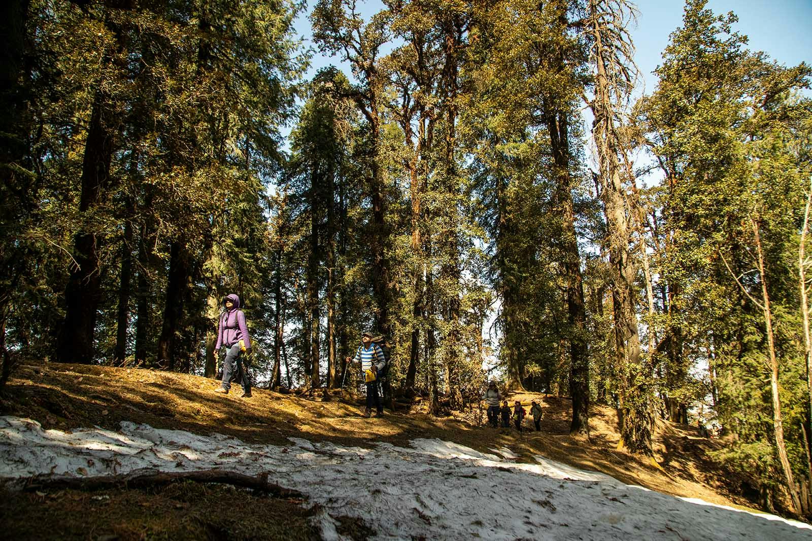 Kedarkantha Trek 2023 - Treks In Uttarakhand - Indiahikes