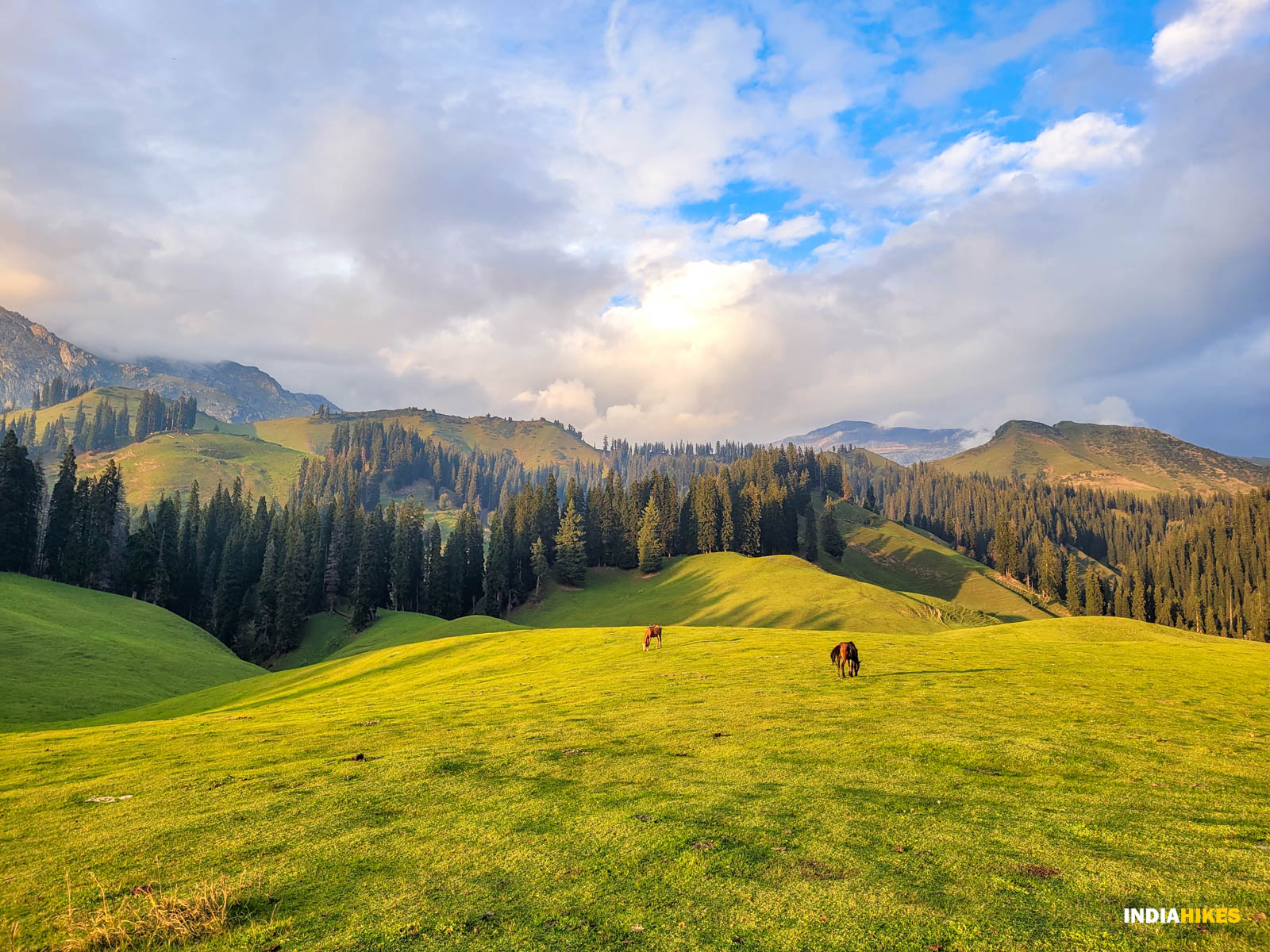 Nafran Valley - Trek to Kashmir's Best Treks in 2026