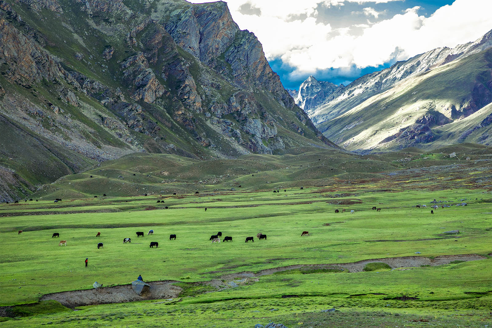 Miyar Valley 2023 - The Trek that takes you to the Heart of Lahaul ...
