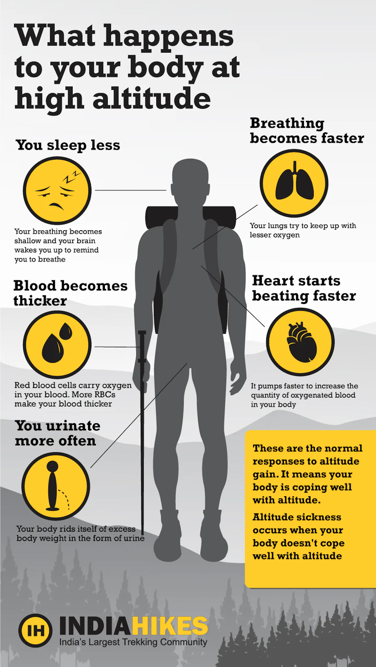 What Happens To Your Body At High Altitudes What Happens To Your Body At High Altitudes
