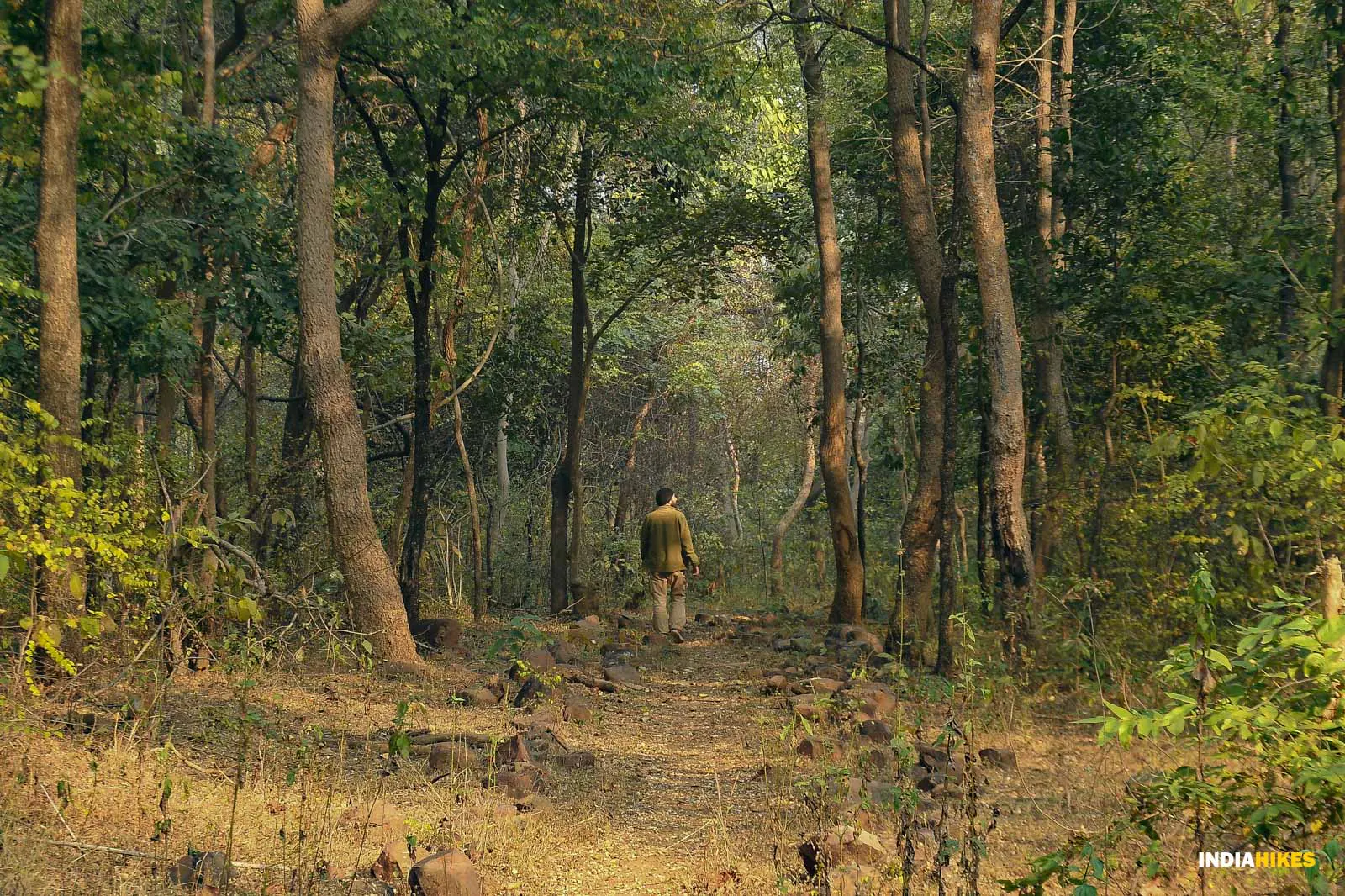 Odisha Debrigarh Sanctuary Trek