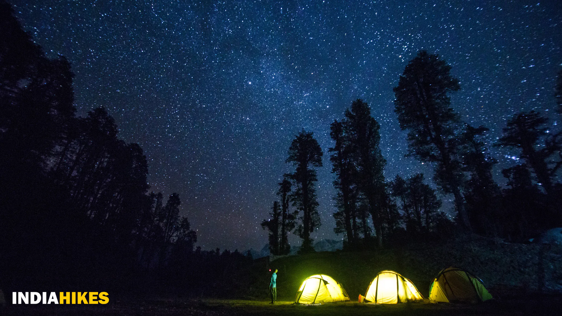 Dayara Bugyal Trek 2023 - The Most Beautifully Landscaped Meadow in our ...