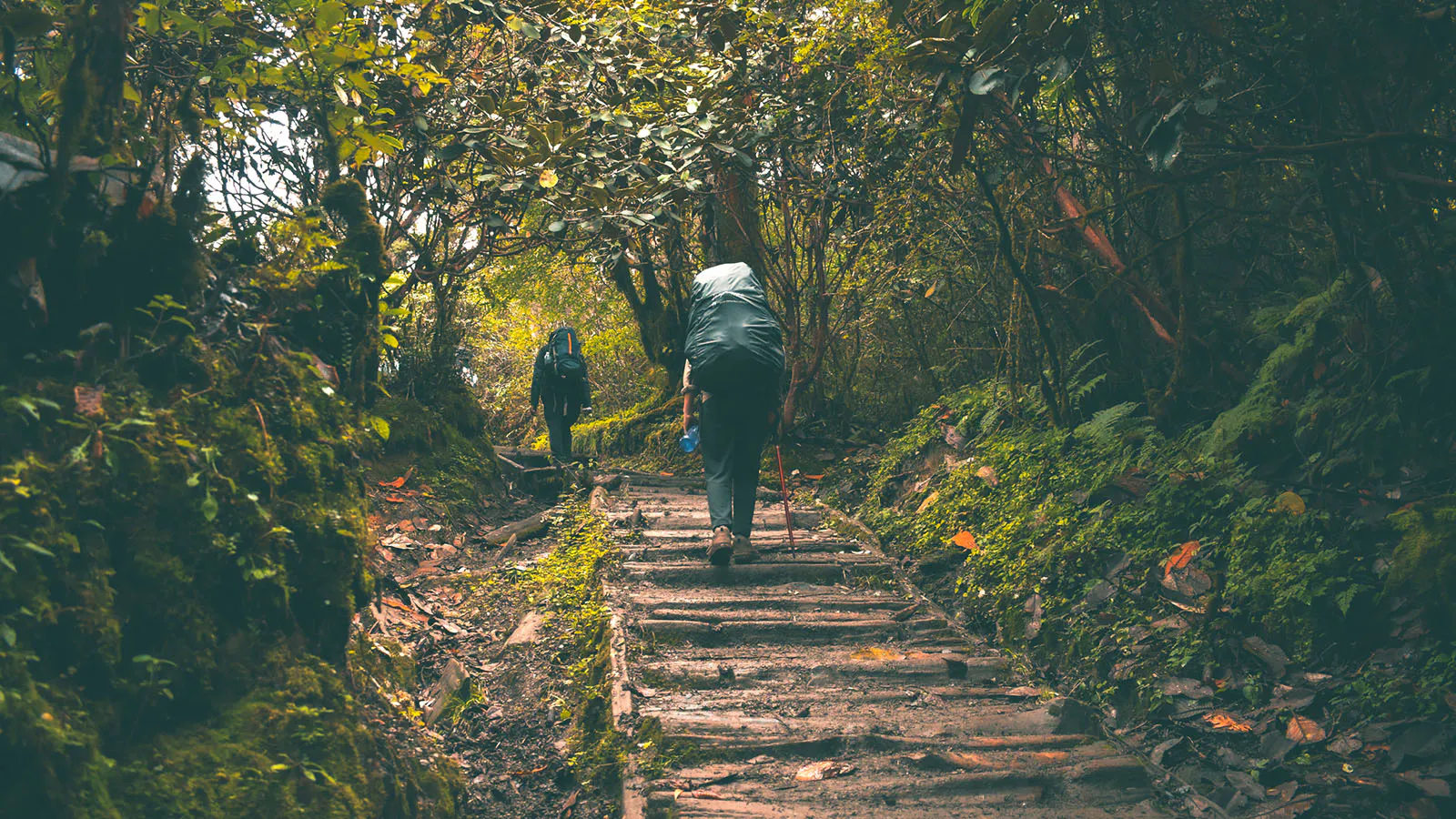 Goechala Trek 2024 - Treks In Sikkim - Indiahikes