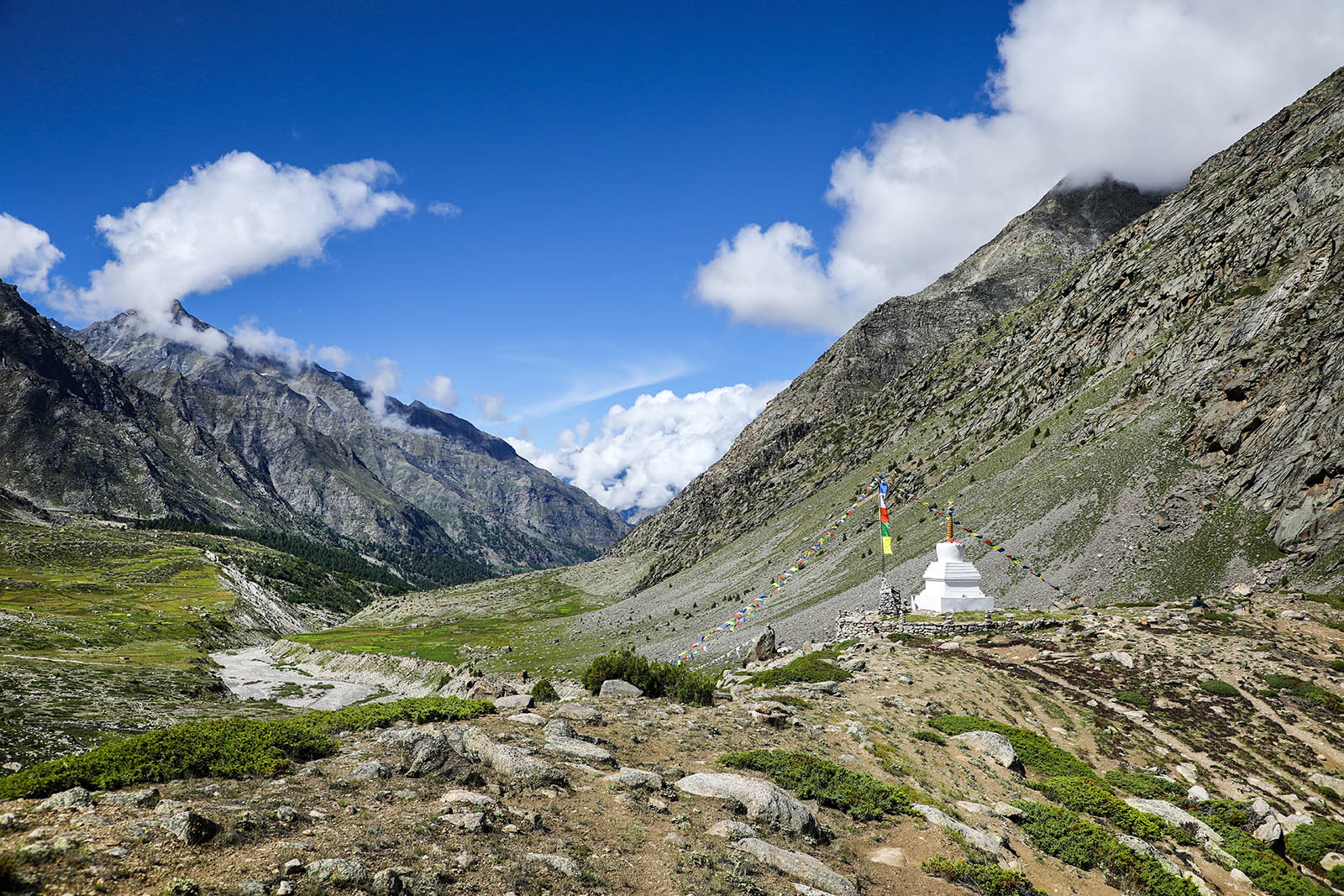 Miyar Valley 2023 - The Trek that takes you to the Heart of Lahaul ...