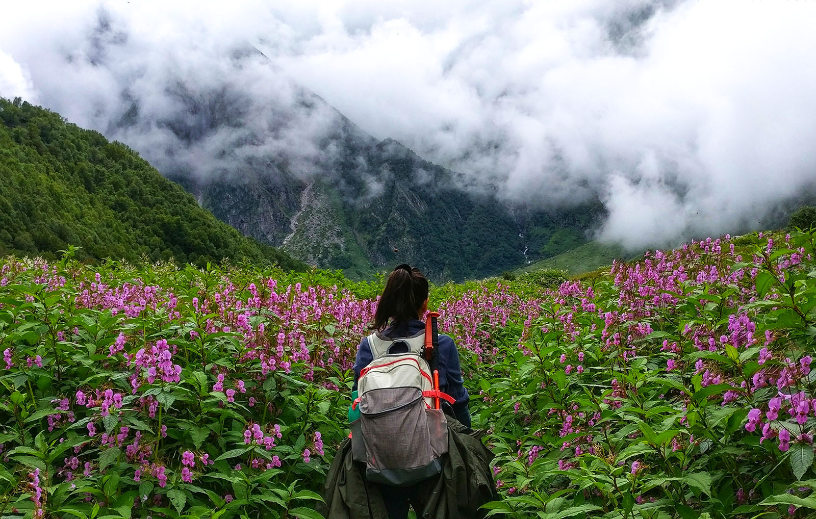 Valley of Flowers Trek 2023 - Uttarakhand - Cost, Itinerary, Photos ...