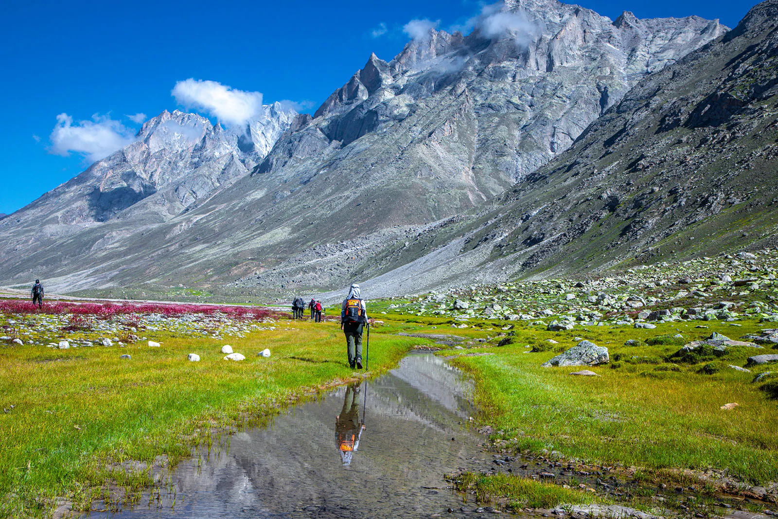 Miyar Valley trek re-starts after a pause of 34 days