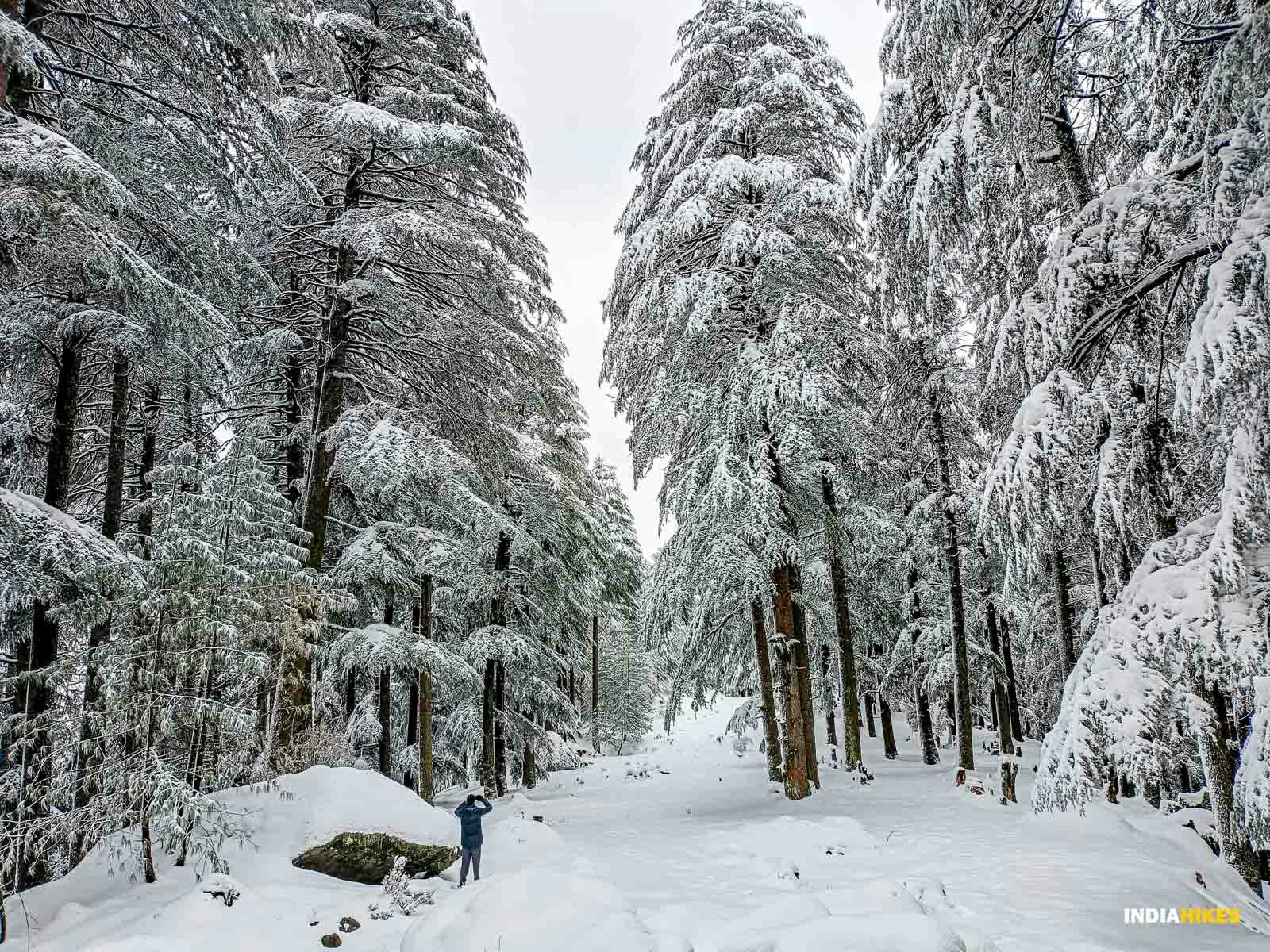 Bijli Mahadev Trek 2024