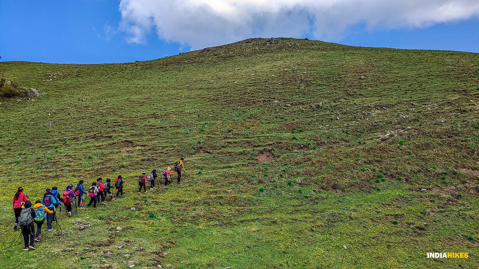 How Children Of Mussoorie International School (MIS) Built Resilience ...