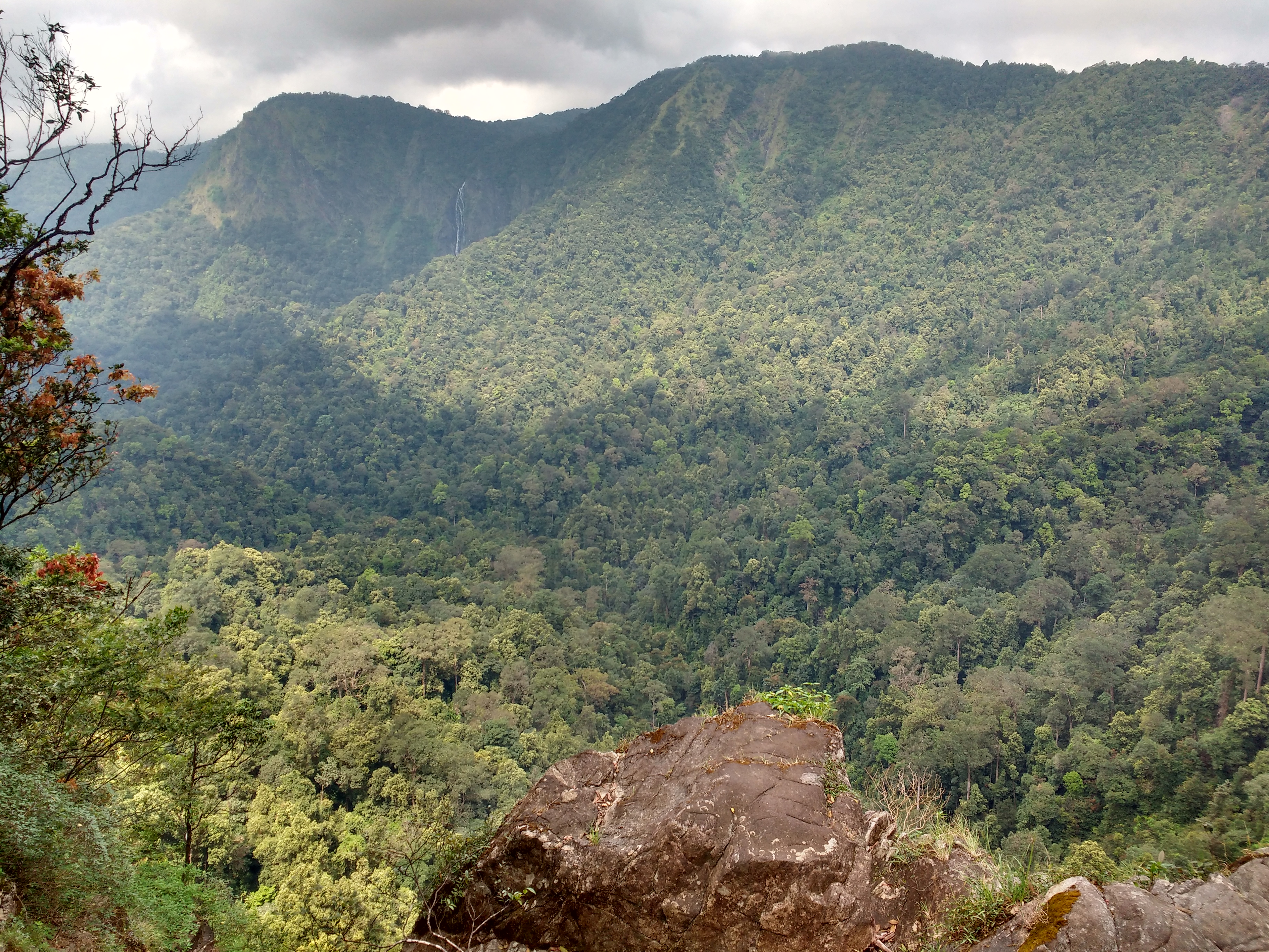 Narasimha Parvatha Trek - Trek to the highest peak in Agumbe