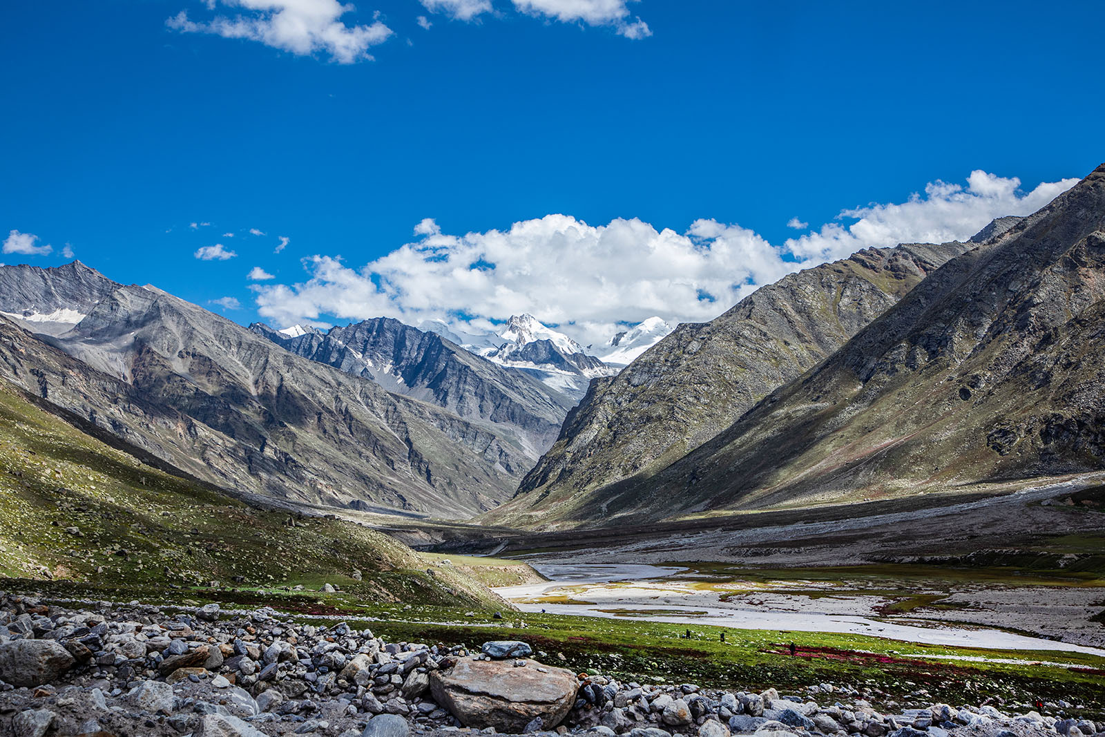Miyar Valley 2023 - The Trek that takes you to the Heart of Lahaul ...