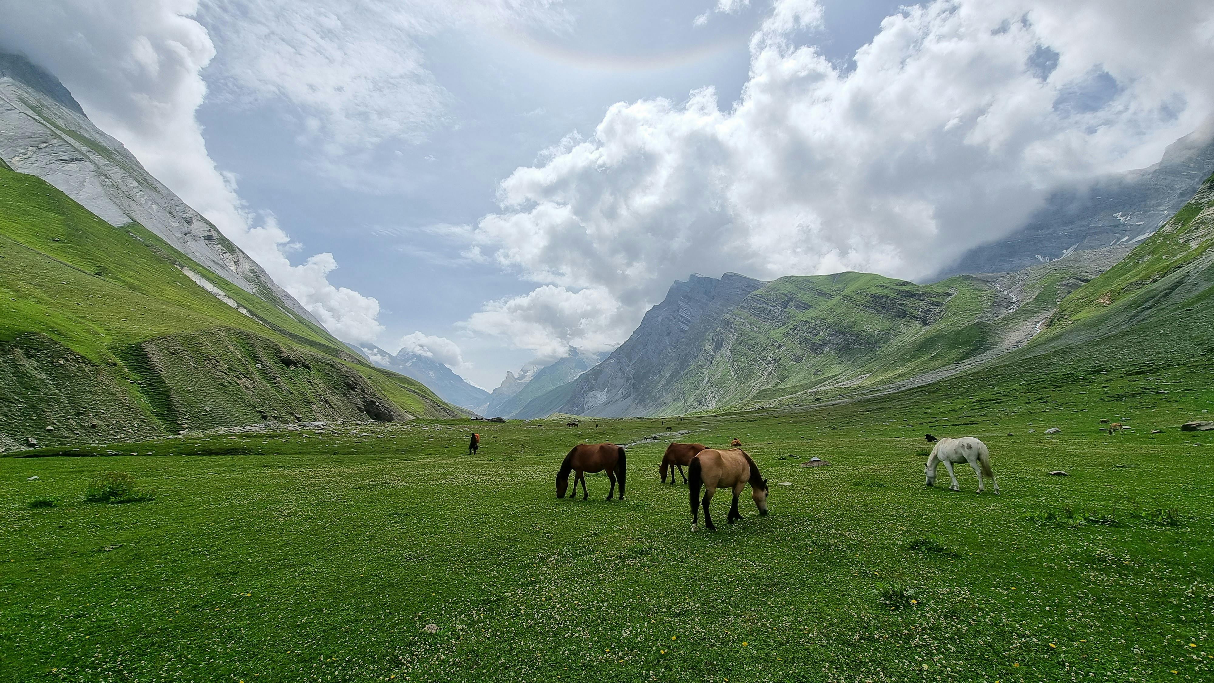 Warwan Valley Trek 2023 - Treks In Jammu and Kashmir - Indiahikes