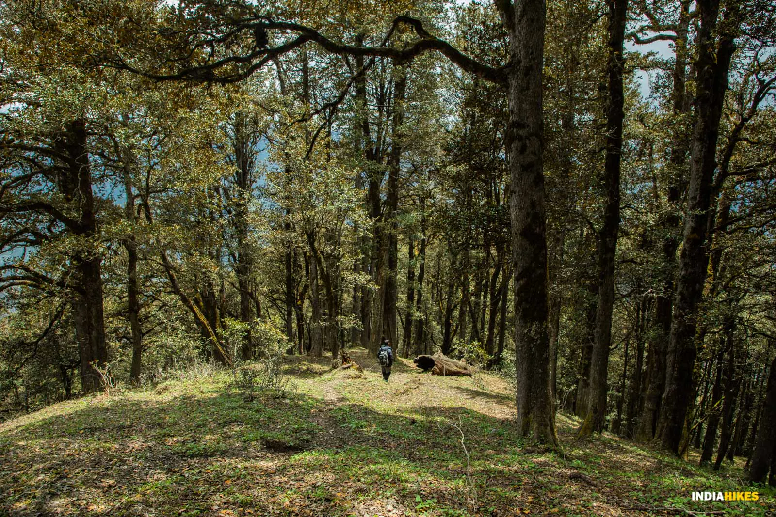 Chandrakhani Pass Trek 2023 - Treks In Himachal Pradesh - Indiahikes