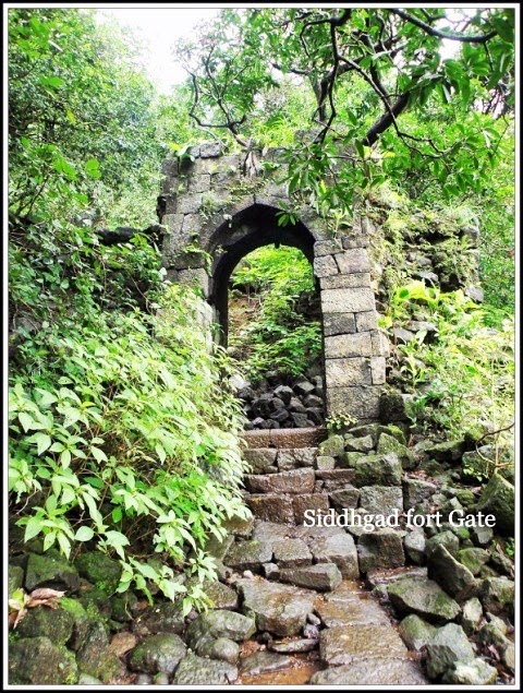 Siddhgad-Bhimashankar Trek