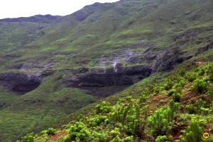 Rohida (Vichitragad) Trek