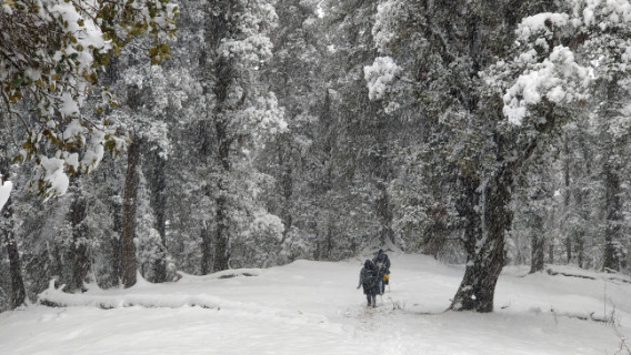 Latest Snow Pictures From Our Winter Treks, December 16th 2019