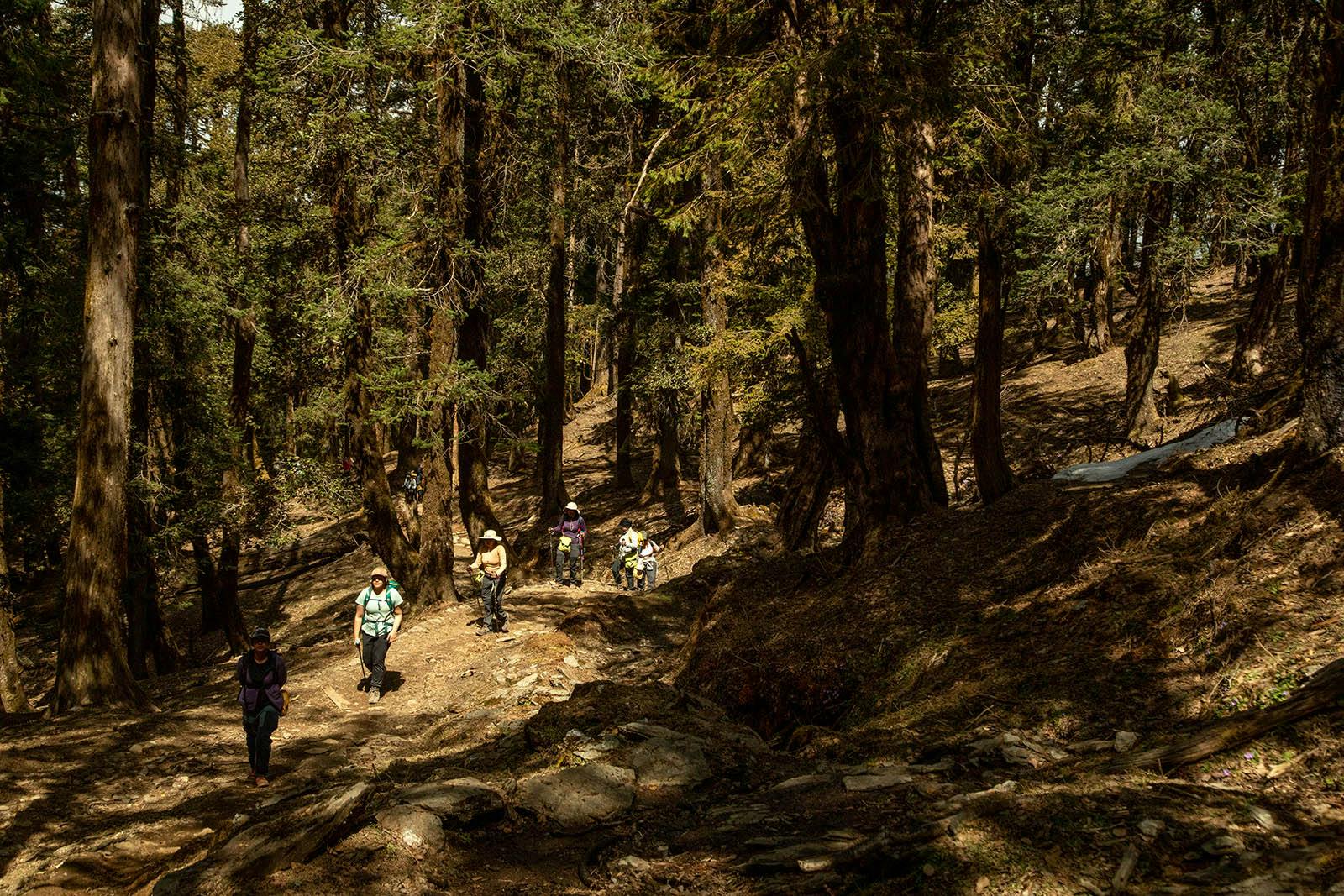 Kedarkantha Trek 2024 - Best Winter Trek In Uttarakhand - Indiahikes