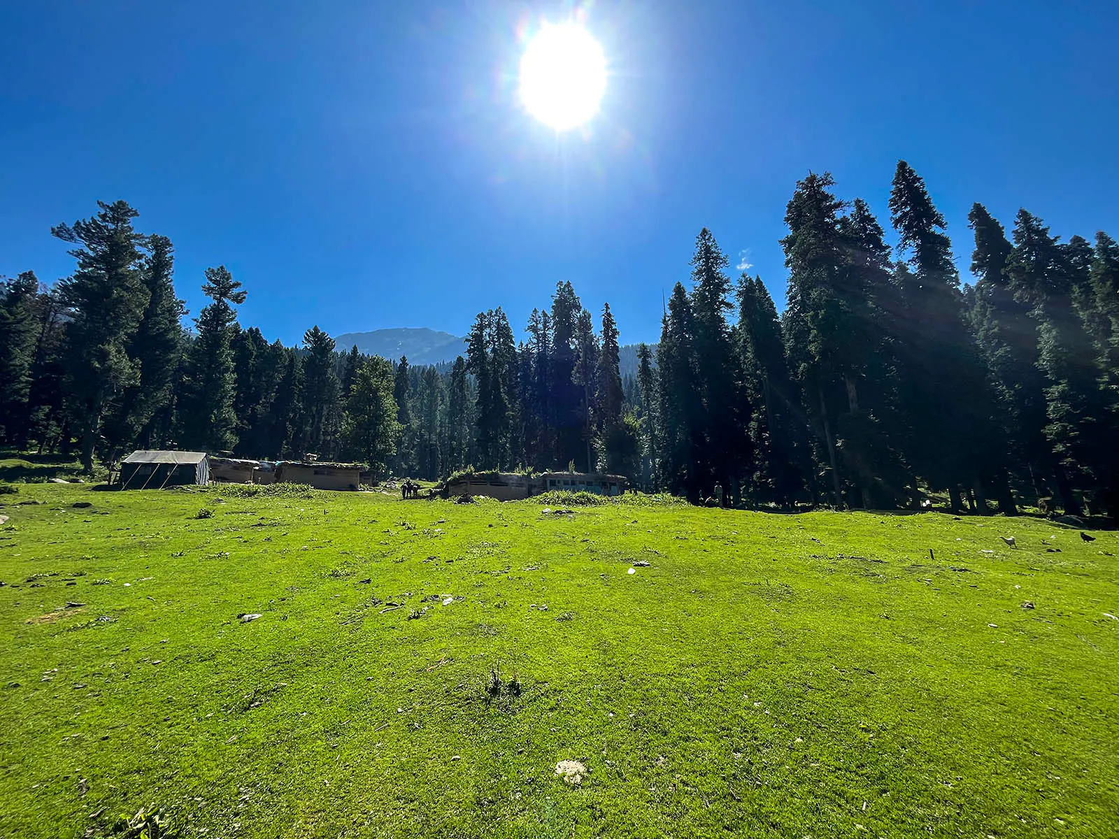 Tulian Lake Trek 2023 - Treks In Jammu and Kashmir - Indiahikes
