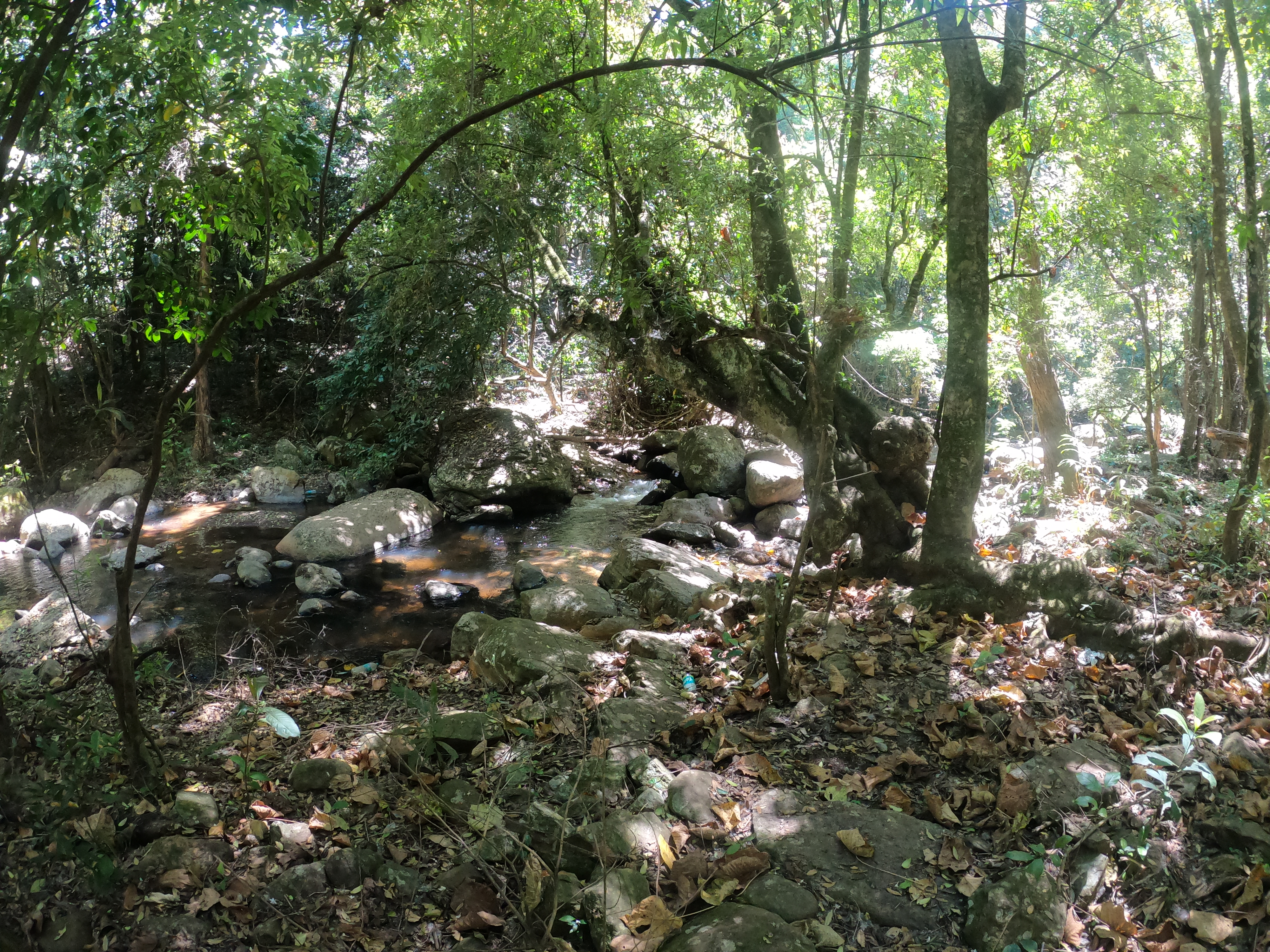 Thoothor Waterfall- Trek to a Hidden Gem near Kodaikanal