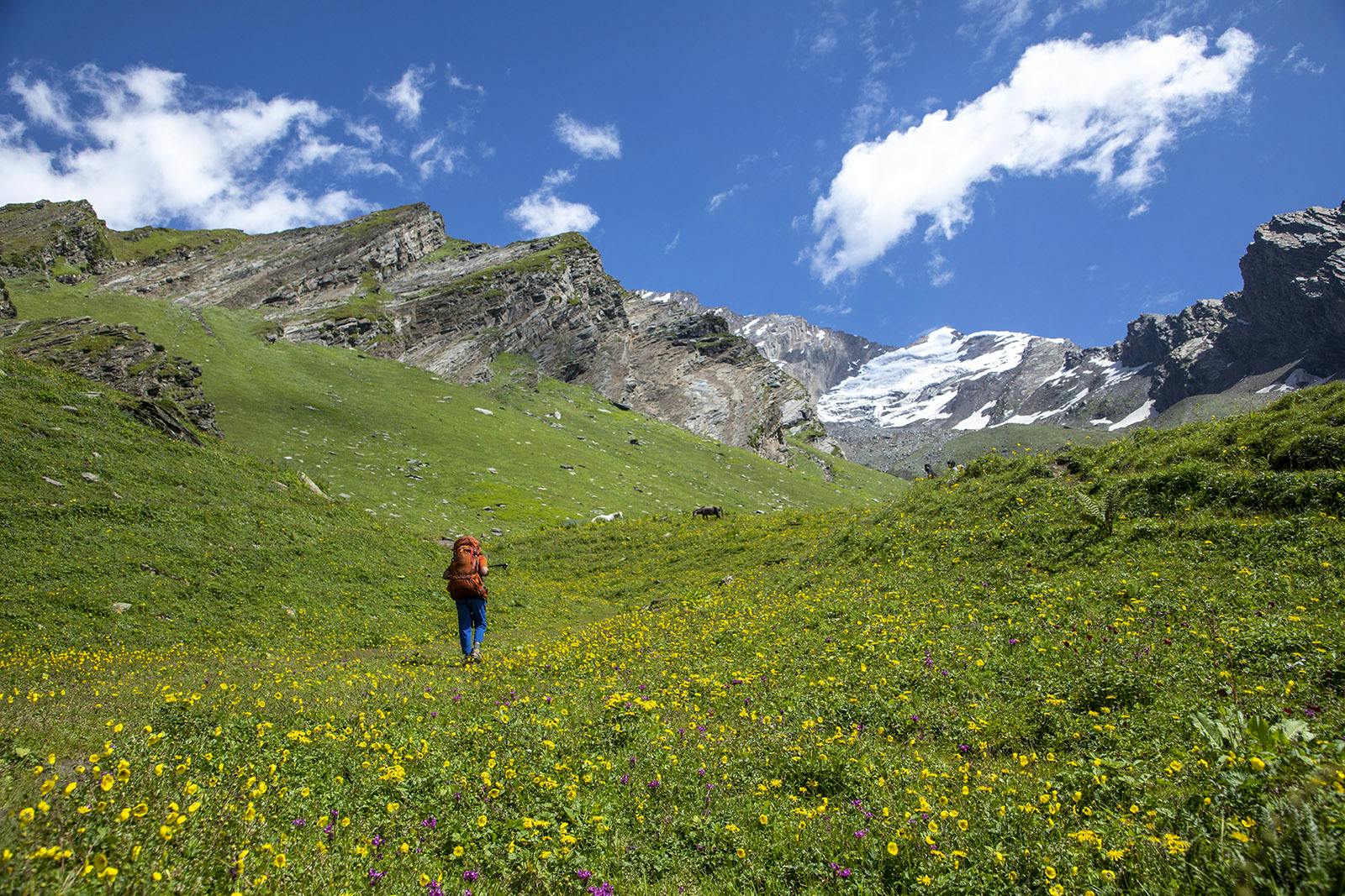 Beas Kund Trek 2023 - Himachal Pradesh Treks - Indiahikes